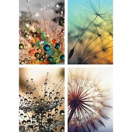 Artland Poster &raquo;Pusteblume,Nahaufnahme L&ouml;wenzahn&laquo; Blumen 4 Stk. tlg. Bilder Set, 4tlg., ohne Rahmen beige B/H/T: 21cm x 29,7cm, Poster Blumen Hochformat, 4 