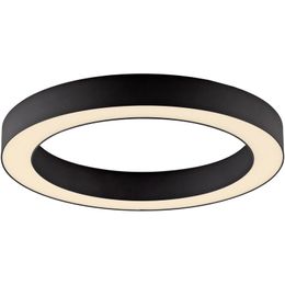 Neuhaus PURE LED Deckenleuchte &raquo;PURE Lines Round&laquo; LED-Board 1 Stk. warmwei&szlig; - kaltwei&szlig; Stufenlos dimmbar &uuml;ber Fernbedienung, CCT schwarz 1, &Oslash; 35cm H: 