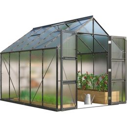 Vitavia Gew&auml;chshaus &raquo;Domus 8300&laquo; mit Doppelschwingt&uuml;ren und bodentiefer T&uuml;rschwelle, 6 mm Hohlkammer schwarz B/H/T: 257cm x 253,9cm x 325cm