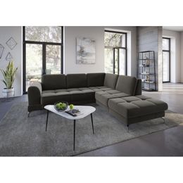 Sit & More sit&more Ecksofa &raquo;Bendigo L-Form&laquo; inklusive Sitztiefenverstellung, Bodenfreiheit 12 cm, in 2 Fu&szlig;farben grau B/H/T: 258cm x 84cm x 226cm, Samtoptik, 