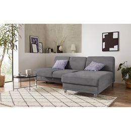 Sit & More sit&more Ecksofa &raquo;Clio L-Form&laquo; optional Schlaffunktion oder Vorziehsitz und Bettkasten, Federkern grau B/H/T: 246cm x 89cm x 165cm, Luxus-Microfaser 