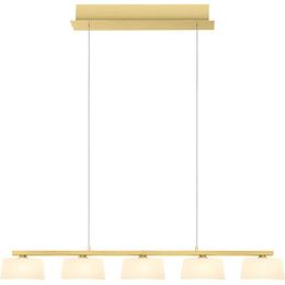 HELL h&ouml;llisch gutes Licht LED Pendelleuchte &raquo;VIEW&laquo; LED-Modul 1 Stk. Extra-Warmwei&szlig; Tastdimmer, Dim to warm, Stufenlos h&ouml;henverstellbar gold 5, 1 Stk.