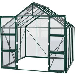 Vitavia Gew&auml;chshaus &raquo;Domus 6700&laquo; Doppelschwingt&uuml;ren und bodentiefer T&uuml;rschwelle, 3 mm Sicherheitsglas gr&uuml;n B/H/T: 257cm x 253,9cm x 263cm