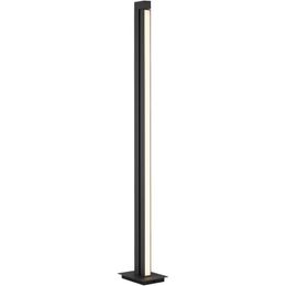 Neuhaus PURE LED Stehlampe &raquo;PURE Lines Floor&laquo; LED-Board 1 Stk. warmwei&szlig; - kaltwei&szlig; CCT Farbsteuerung, dimmbar &uuml;ber Fernbedienung, Fu&szlig;schalter 1, H: 