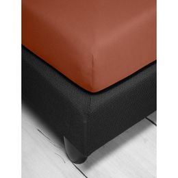 Irisette Spannbettlaken &raquo;Jupiter 8&laquo; aus Baumwolle, f&uuml;r Matratzen bis 25 cm H&ouml;he, Bettlaken, Spannbetttuch braun Mako-Jersey, Obermaterial: 100% Baumwolle B/L: 