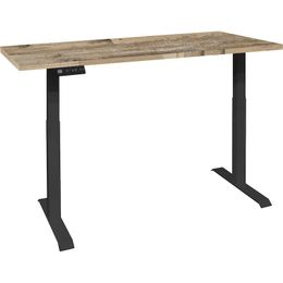 M&auml;usbacher Schreibtisch &raquo;Big System Office&laquo; Breite 160 cm, elektrisch h&ouml;henverstellbar schwarz B/H/T: 160cm