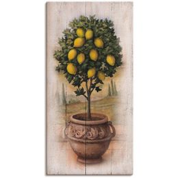 Artland Leinwandbild &raquo;Zitronenbaum mit Holzoptik&laquo; B&auml;ume 1 Stk. tlg. auf Holzrahmen gespannt bunt Leinwand B/H/T: 30cm x 60cm, Leinwandbild B&auml;ume quadratisch, 