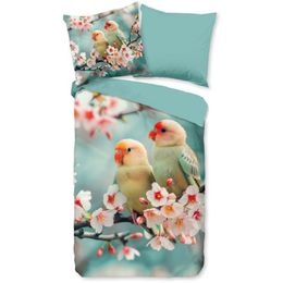 Good Morning Wendebettw&auml;sche &raquo;Chibi&laquo; 3 Stk. 100% Baumwolle, Renforc&eacute;, Rei&szlig;verschluss, Wendeoptik, Vogel, aqua blau Renforc&eacute;, Obermaterial: 100% 