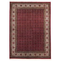 Theko Orientteppich &raquo;Sirsa Seta Bidjar&laquo; rechteckig 12 mm H&ouml;he handgekn&uuml;pft, Material: 80% Wolle, 20% Seide, mit Fransen rot Schurwolle, Seide B : 