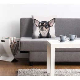 queence Dekokissen &raquo;Mailin&laquo; Kissenh&uuml;lle,Chihuahua,Hund,Tiermotiv,Niedlich,Verspielt,Haustier,Zart schwarz Polyester B/L: 40cm x 40cm, 1 Stk.