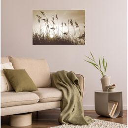 queence Wandsticker &raquo;D&uuml;ne&laquo; Selbstklebend, kinderleichte Anbringung beige Folie B/H/T: 150cm x 90cm x 0,1cm, Grashalm Grashalme Sonnenuntergang