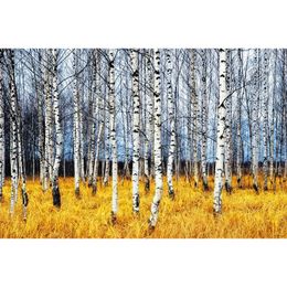 papermoon Fototapete &raquo;Autumn Birch Grove&laquo; glatt bunt Vlies B/L: 5m x 2,8m, Bahnen: 10 Stk.