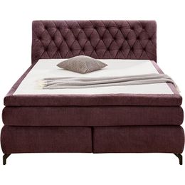 Jockenh&ouml;fer Boxspringbett &raquo;Scarlett mit einer hochwertigen 7-Zonen-Tonnentaschenfederkernmatratze&laquo; H3, H3/H4 oder H4, und einem 9cm Kaltschaum-Topper lila Bezug 