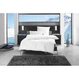 fan G&auml;nsedaunenbettdecke &raquo;f.a.n. Alaska&laquo; normal 1 Stk. tlg. wei&szlig; Bezug: 100% Baumwolle. F&uuml;llung: 90% G&auml;nsedaunen, 10% G&auml;nsefeder B/L: 200cm x 200cm, 