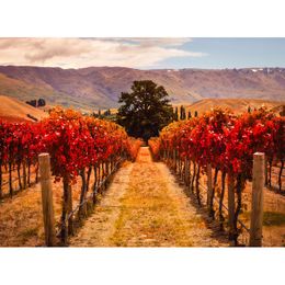 papermoon Fototapete &raquo;Autumn Vineyard&laquo; glatt bunt Vlies B/L: 3,5m x 2,6m, Bahnen: 7 Stk.