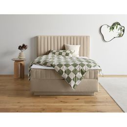 homsy by Ana Johnson Boxbett &raquo;Moonio inkl. Bettkasten&laquo; erh&auml;ltlich in verschiedenen Breiten und H&auml;rtegraden Boucl&eacute;, Liegefl&auml;che B/L: 140cm x 200cm, H2 