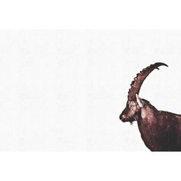 Livingwalls living walls Fototapete &raquo;ARTist Capricorn Snow&laquo; Vlies, Wand, Schr&auml;ge braun Vlies B/L: 4m x 2,7m