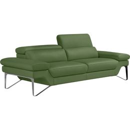 Egoitaliano 2,5-Sitzer &raquo;Princess, Designsofa und super bequem, tolle Detailverarbeitung&laquo; inkl. verstellbarer Kopfteile gr&uuml;n Leder BULL (Echtes Rindsleder). 