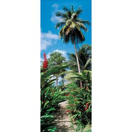 papermoon Fototapete &raquo;Palm Path - T&uuml;rtapete&laquo; matt bunt Vlies B/L: 0,9m x 2m