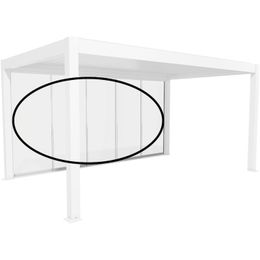 BioHort Glasschiebet&uuml;r &raquo;Klarglas Gr. 5 m f&uuml;r Pergola, verschiedene Farben&laquo; 475,5x 234,9 cm, Glaselemente aus 10 mm ESG transparent Glas, Stahl 234,9cm, 