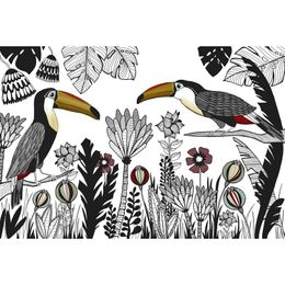 Livingwalls living walls Fototapete &raquo;ARTist Tukan&laquo; Vlies, Wand, Schr&auml;ge bunt Vlies B/L: 4m x 2,7m