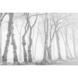 ARCHITECTS PAPER Fototapete &raquo;Bark&laquo; Vlies, Wand, Schr&auml;ge wei&szlig; Vlies B/L: 4m x 2,7m