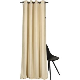 Sch&ouml;ner Wohnen Kollektion SCH&Ouml;NER WOHNEN-Kollektion Vorhang &raquo;Peachy&laquo; &Ouml;sen 1 Stk. tlg. beige Polyester 250cm, &Ouml;sen, 130cm