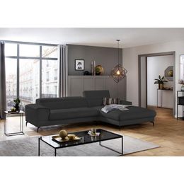 W.Schillig Ecksofa &raquo;piedroo, Designsofa mit tollem Sitzkomfort, L-Form&laquo; Kopfteilverstellung, wahlweise mit Sitztiefenverstellung, Breite 303cm grau 