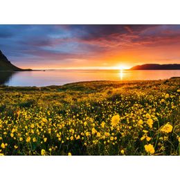 papermoon Fototapete &raquo;Flower Field Kirkjufell Iceland&laquo; glatt bunt Vlies B/L: 1,5m x 1,11m, Bahnen: 7 Stk.