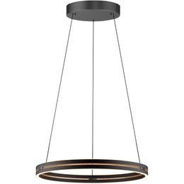 Neuhaus PURE LED Pendelleuchte &raquo;PURE E-Loop&laquo; LED-Board 1 Stk. warmwei&szlig; - kaltwei&szlig; e-LIFT Funktion, CCT, dimmbar &uuml;ber Fernbedienung 2, &Oslash; 70cm H: 40cm, 