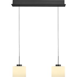 HELL h&ouml;llisch gutes Licht LED Pendelleuchte &raquo;ABBY&laquo; LED-Modul 1 Stk. Warmwei&szlig; B-Link Fernbedienung, Stufenlos h&ouml;henverstellbar 2, 1 Stk.