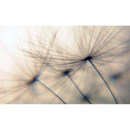 queence Wandsticker &raquo;Dandelion&laquo; Selbstklebend, kinderleichte Anbringung, Pusteblume, Sticker, beige beige Folie B/H/T: 120cm x 80cm x 0,1cm, 