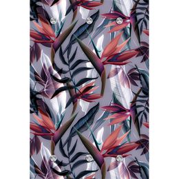 queence Garderobenleiste &raquo;Pflanzen&laquo; mit 6 Haken, 80 x 120 cm bunt Acrylglas, Edelstahl B/H/T: 80cm x 120cm x 5cm