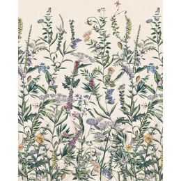 Komar Vliestapete &raquo;Digitaldruck Vlies - Flowering Herbs - Gr&ouml;&szlig;e 200 x 250 cm&laquo; bedruckt glatt Wohnzimmer, Schlafzimmer bunt Vlies B/L: 200m x 250m, Rollen: 1