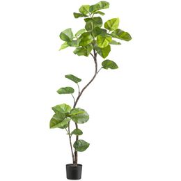 Creativ green Kunstpflanze &raquo;Ficus umbellata&laquo; mit tollem Blattwerk gr&uuml;n Kunststoff B/H/L: 160cm, 1 Stk.