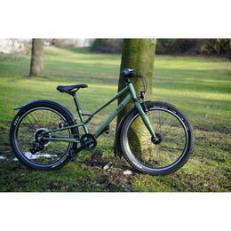 Prophete Kinderfahrrad &raquo; Trio 500&laquo; 8 Gang Shimano Tourney Schaltwerk Kettenschaltung gr&uuml;n 32cm, 24 Zoll (60,96cm) hinten: 24 Zoll (60,96cm) Kinderfahrrad