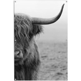 Reinders Poster &raquo;Highlander Bulle&laquo; leichtes und wasserfestes Gartenposter f&uuml;r den Au&szlig;eneinsatz schwarz Leinwand B/H/T: 80cm x 120cm x 0,1cm