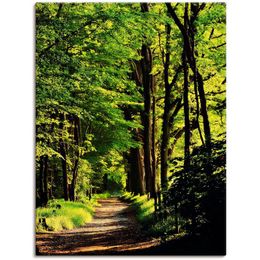Artland Wandbild &raquo;Weg im Wald&laquo; Wald 1 Stk. tlg. als Leinwandbild, Poster in verschied. Gr&ouml;&szlig;en gr&uuml;n B/H/T: 45cm x 60cm, Leinwandbild Wald, 1 Stk.