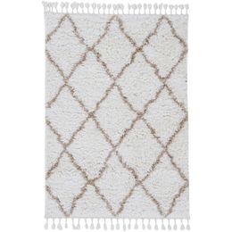 CarpetFine Hochflor-Teppich &raquo;Eddy&laquo; rechteckig 30 mm H&ouml;he Shaggy, auch als L&auml;ufer und in quadratisch, mit Fransen, Wohnzimmer beige Polyester B : 120cm