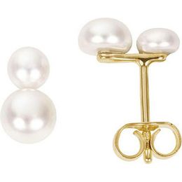 Firetti Damen Paar Ohrstecker &raquo;Schmuck Geschenk Gold 333 Ohrschmuck Ohrringe&laquo; mit S&uuml;&szlig;wasserzuchtperle gold Gelbgold 333 Perlen