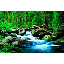 papermoon Fototapete &raquo;Deep Forrest&laquo; glatt bunt Vlies B/L: 5m x 2,8m, Bahnen: 10 Stk.