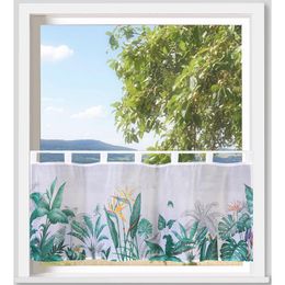Weckbrodt-Gardinen Scheibengardine &raquo;Strelitzie&laquo; Schlaufen 1 Stk. tlg. Bistro, Voile, bedruckt, transparent, HxB 45x120cm, Gardine, Store bunt Voile, Polyester 45cm, 