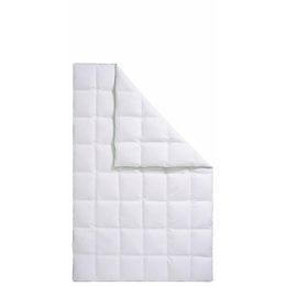 fj&ouml;dur fj&ouml;dur Daunenbettdecke &raquo;Fee, Bettdecke 135x200, 155x220 cm und weitere Gr&ouml;&szlig;en&laquo; normal F&uuml;llung 80Daunen20Federn 1 Stk. tlg. Hergestellt in Deutschland 