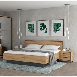 FORTE Bett &raquo;Trondheim, Belastbarkeit 250KG, Loft-Stil&laquo; melaminbeschichtet schwarz Liegefl&auml;che L&auml;nge B: 200cm x 160cm, H&ouml;he Bett: 93cm H&ouml;he Fu&szlig;teil: 
