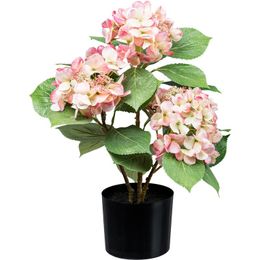 Creativ green Kunstpflanze &raquo;Hortensienbusch&laquo; mit traumhaft sch&ouml;nen Bl&uuml;ten rosa B/H/L: 53cm, 1 Stk.