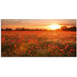 Artland Glasbild &raquo;Mohnblumenfeld bei Sonnenuntergang&laquo; Blumen 1 Stk. tlg. in verschiedenen Gr&ouml;&szlig;en rot B/H/T: 100cm x 50cm, Glasbild Blumen, 1 Stk.