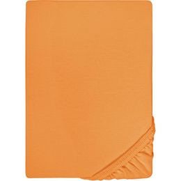 Biberna Spannbettlaken &raquo;Marc&laquo; aus Baumwolle, f&uuml;r Matratzen bis 22 cm H&ouml;he, Bettlaken, Spannbetttuch orange Jersey, Obermaterial: 100% Baumwolle B/L: 200cm, 1 