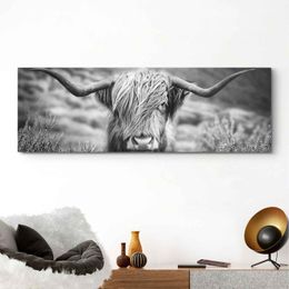 Reinders Wandbild &raquo;Wandbild Highlander Bulle Tiermotiv - Nahaufnahme - Hochlandrind Bild&laquo; Kuh 1 Stk. tlg. schwarz MDF B/H/T: 156cm x 52cm, Kuh, 1 Stk.