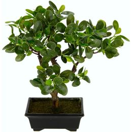 I.GE.A. Kunstbonsai &raquo;Ginseng-Bonsai&laquo; in Bonsaischale aus Kunststoff gr&uuml;n Obermaterial: 70% Kunststoff, 30% Polyester B/H/L: 13cm x 33cm, 1 Stk.
