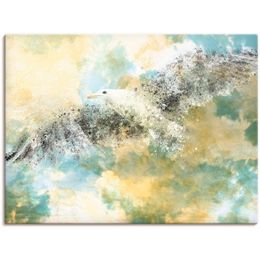 Artland Wandbild &raquo;Verschwindende M&ouml;we&laquo; V&ouml;gel 1 Stk. tlg. als Alubild, Leinwandbild in verschied. Gr&ouml;&szlig;en gr&uuml;n B/H/T: 120cm x 90cm, Leinwandbild V&ouml;gel, 1 Stk.